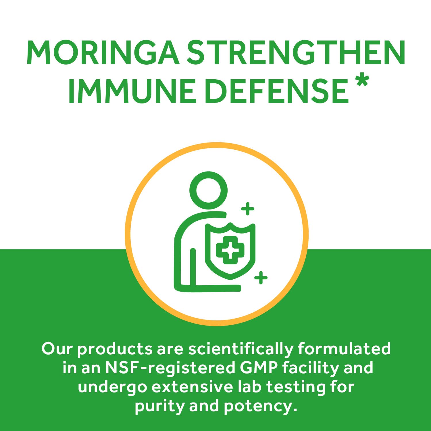 moringa extract for immune health
