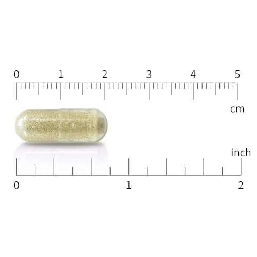 moringa extract for immune support