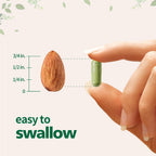Moringa extract for immune support