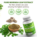 moringa extract for immune support