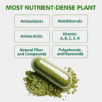 moringa extract for vitality