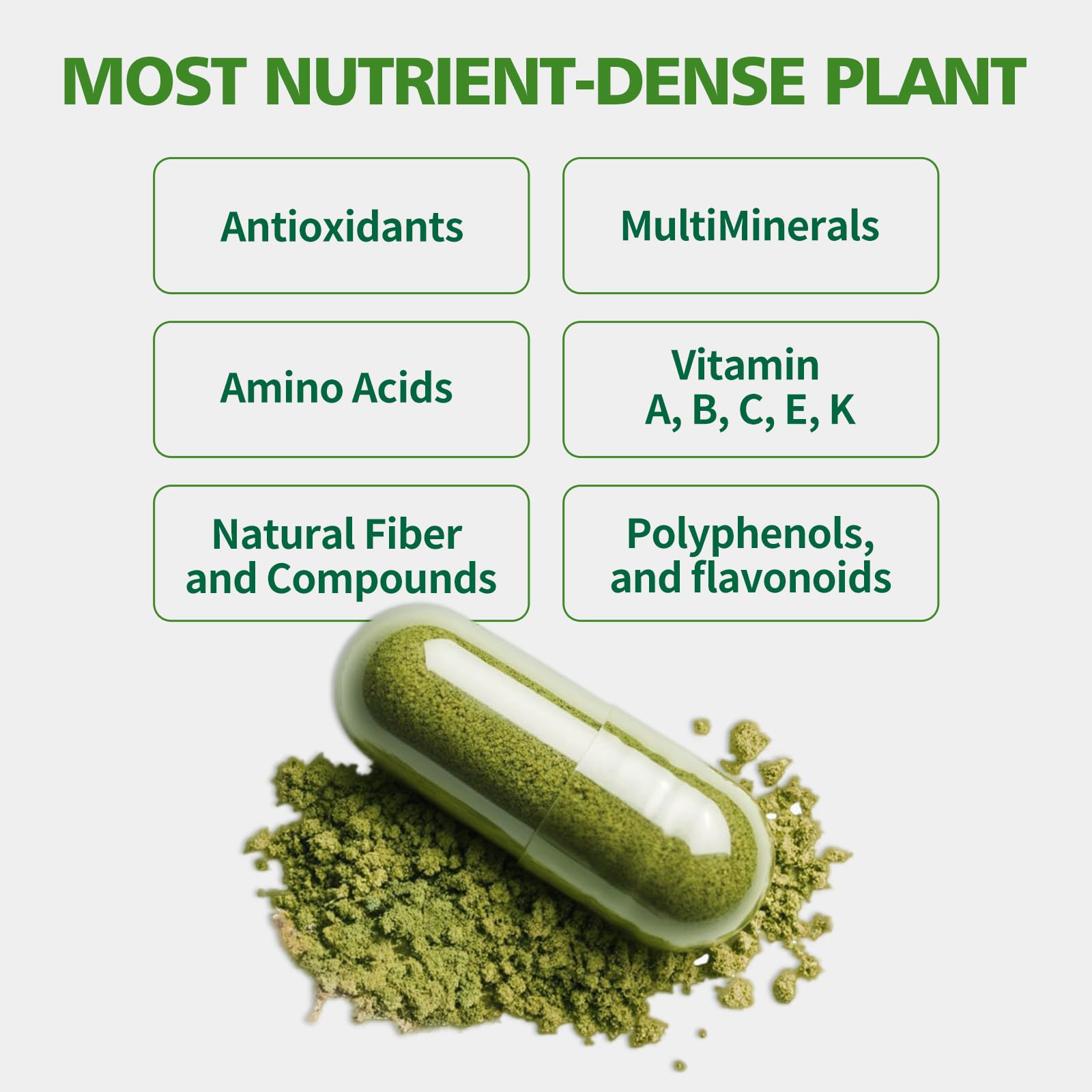 moringa extract for vitality