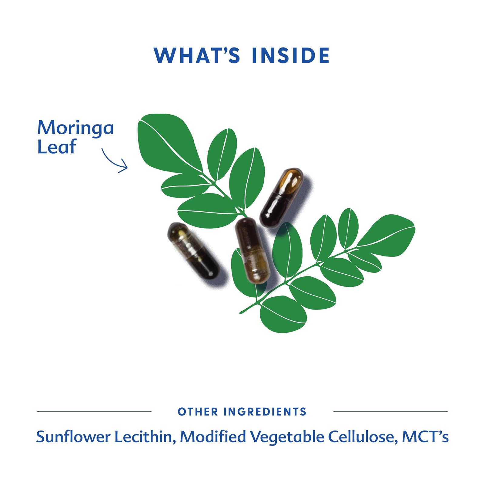 Moringa for energy boost