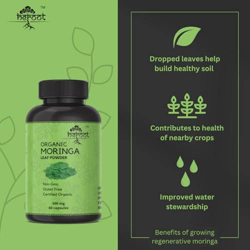 moringa for enhanced immune function