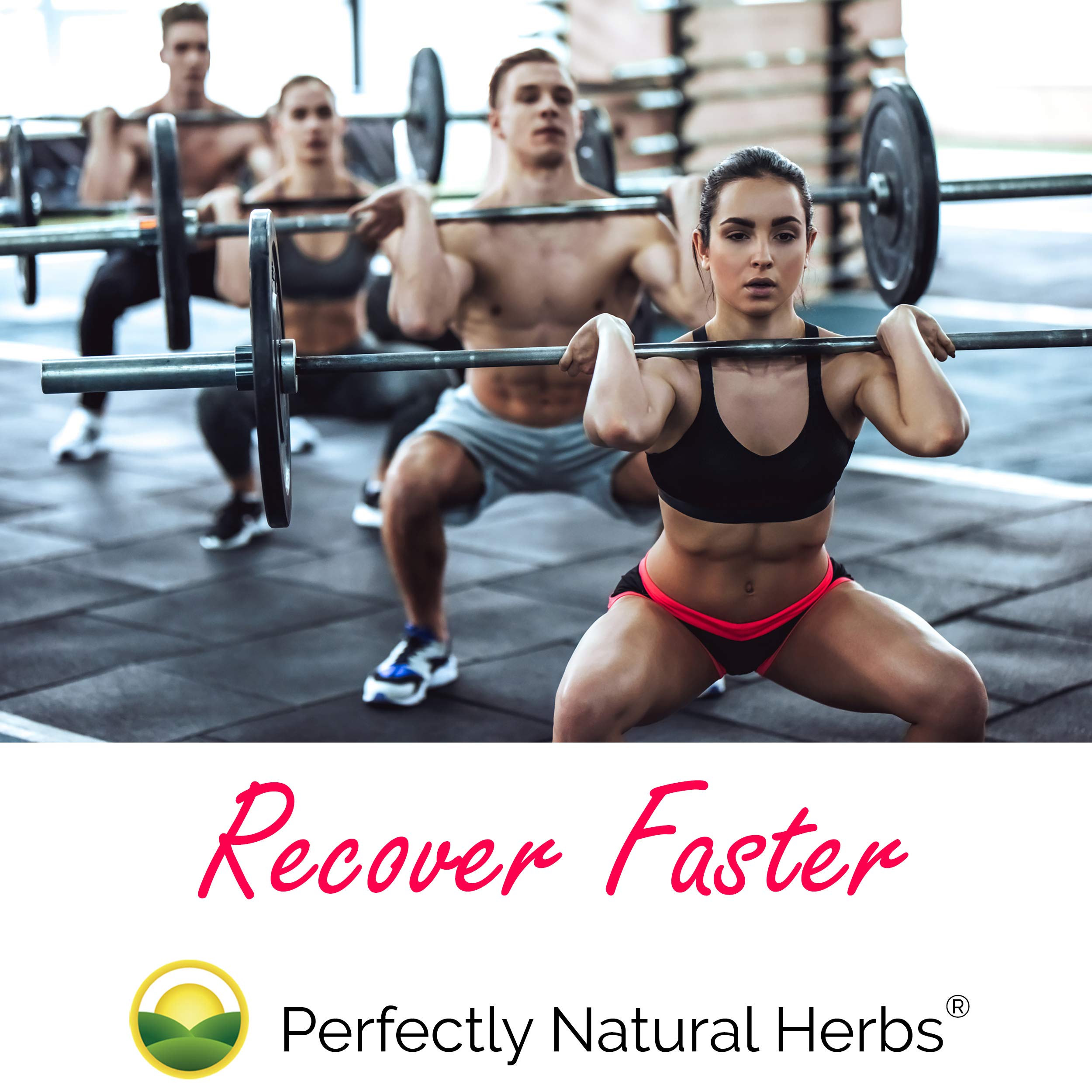 moringa for enhanced physical performance