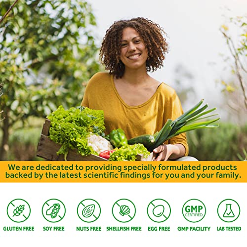 moringa for enhanced physical performance