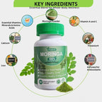 Moringa for healthy digestion support