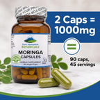 moringa for immune support