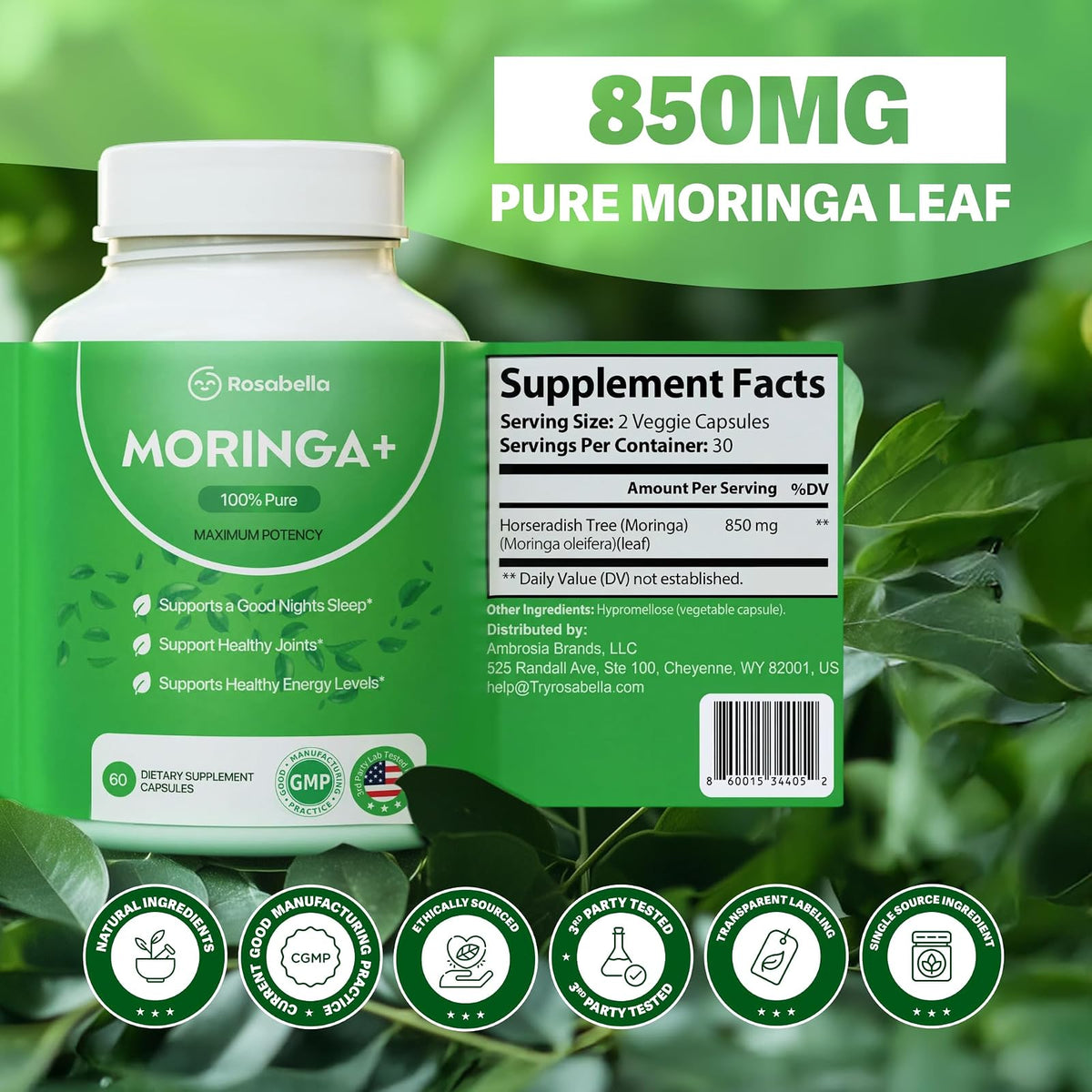 Moringa for immune support