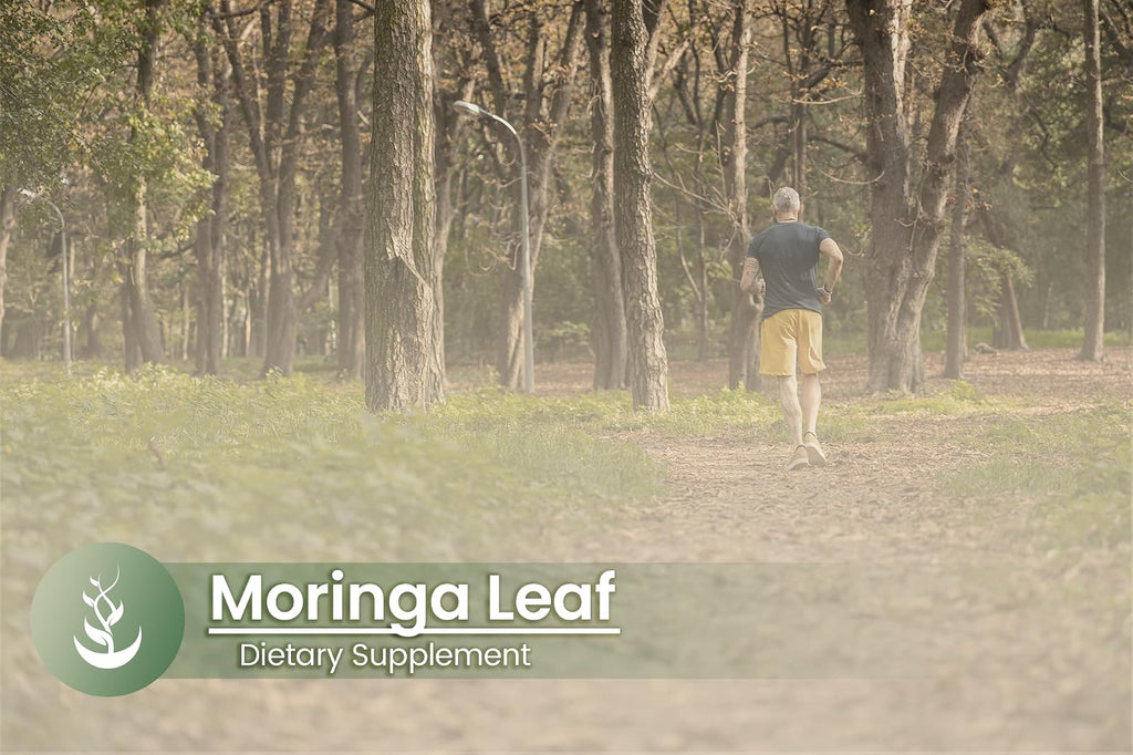moringa for immune support