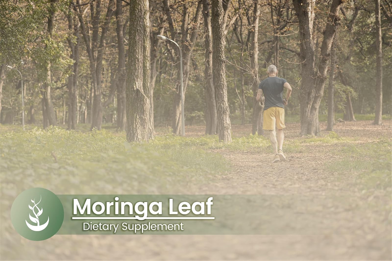 moringa for immune support