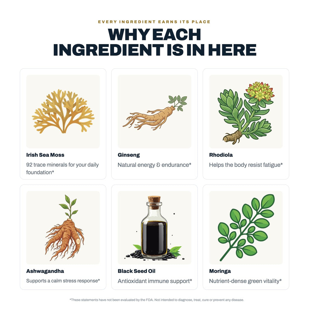 moringa for vitality and energy