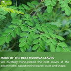 moringa herbal tea for immune support