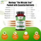 moringa leaf capsules for vitality
