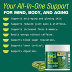 moringa leaf capsules for wellness