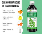 moringa leaf extract for better digestion