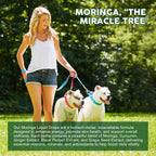 moringa leaf extract for vitality