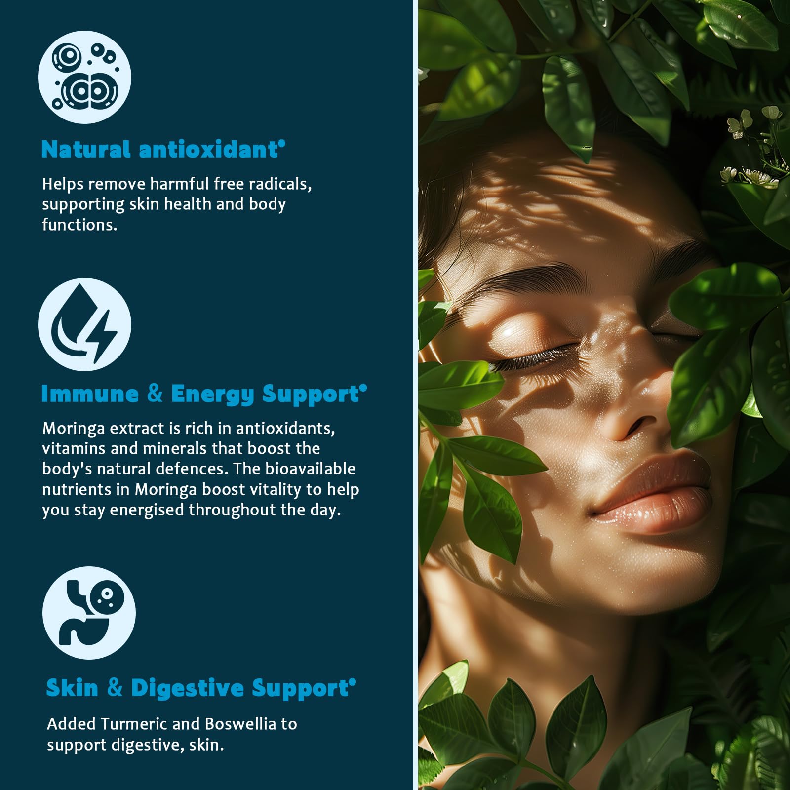 moringa leaf extract for wellness