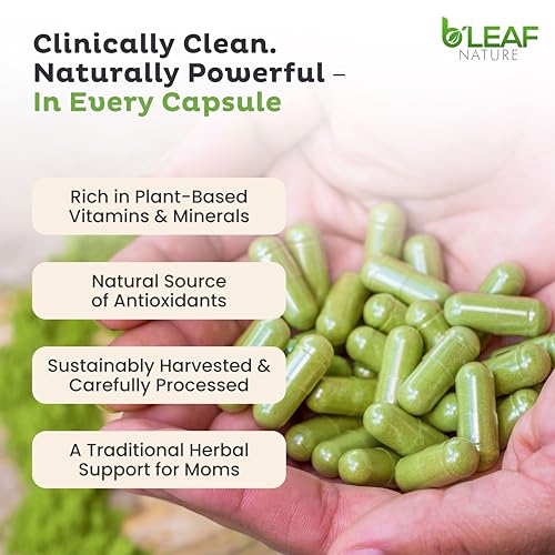 moringa leaf for energy boost