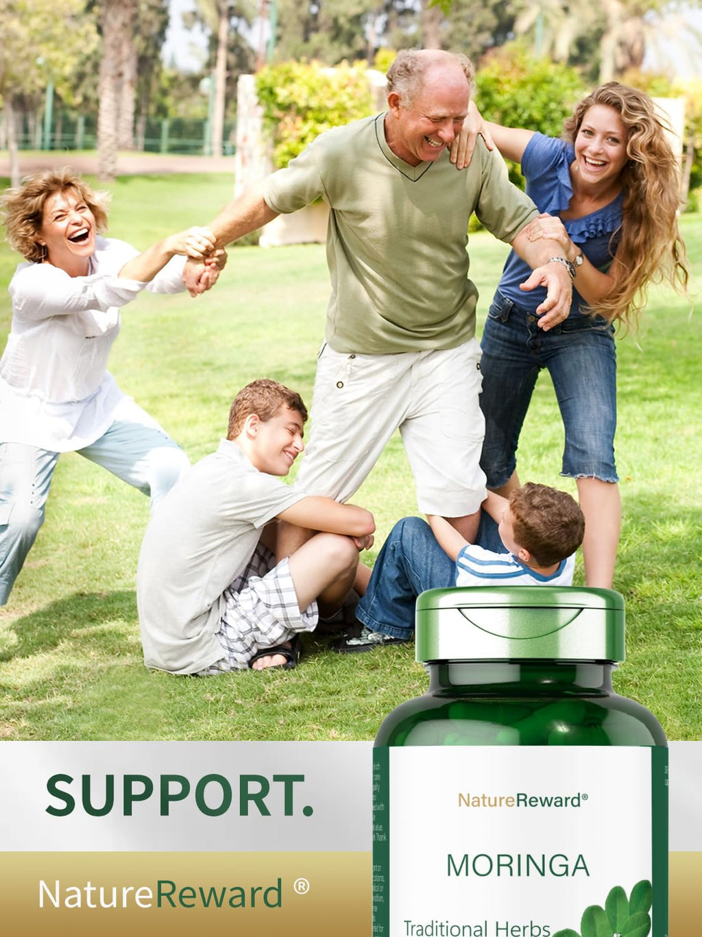 Moringa leaf powder for antioxidant boost