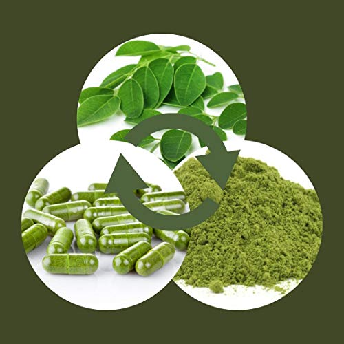 moringa leaf powder for daily nutrition