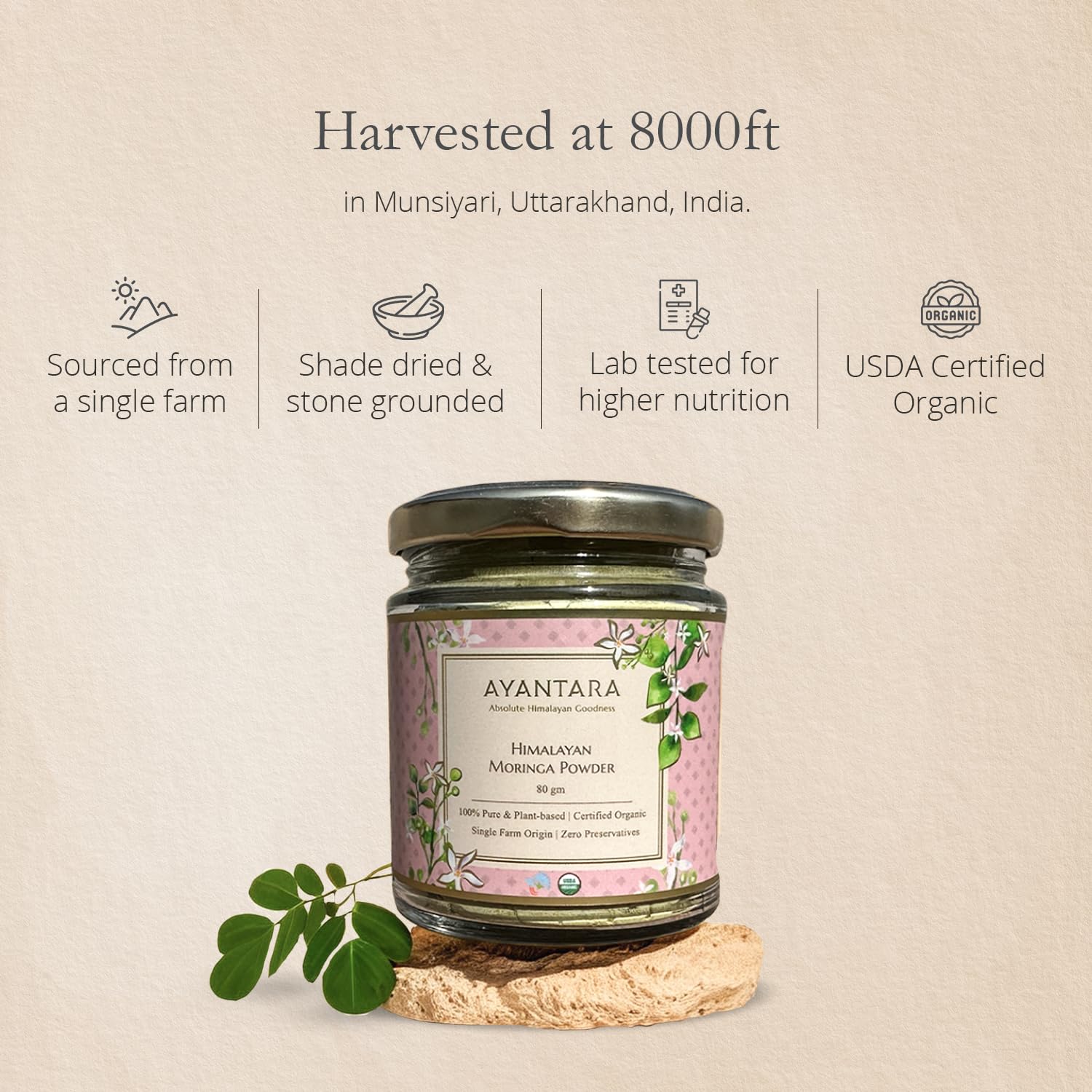 moringa leaf powder for daily nutrition