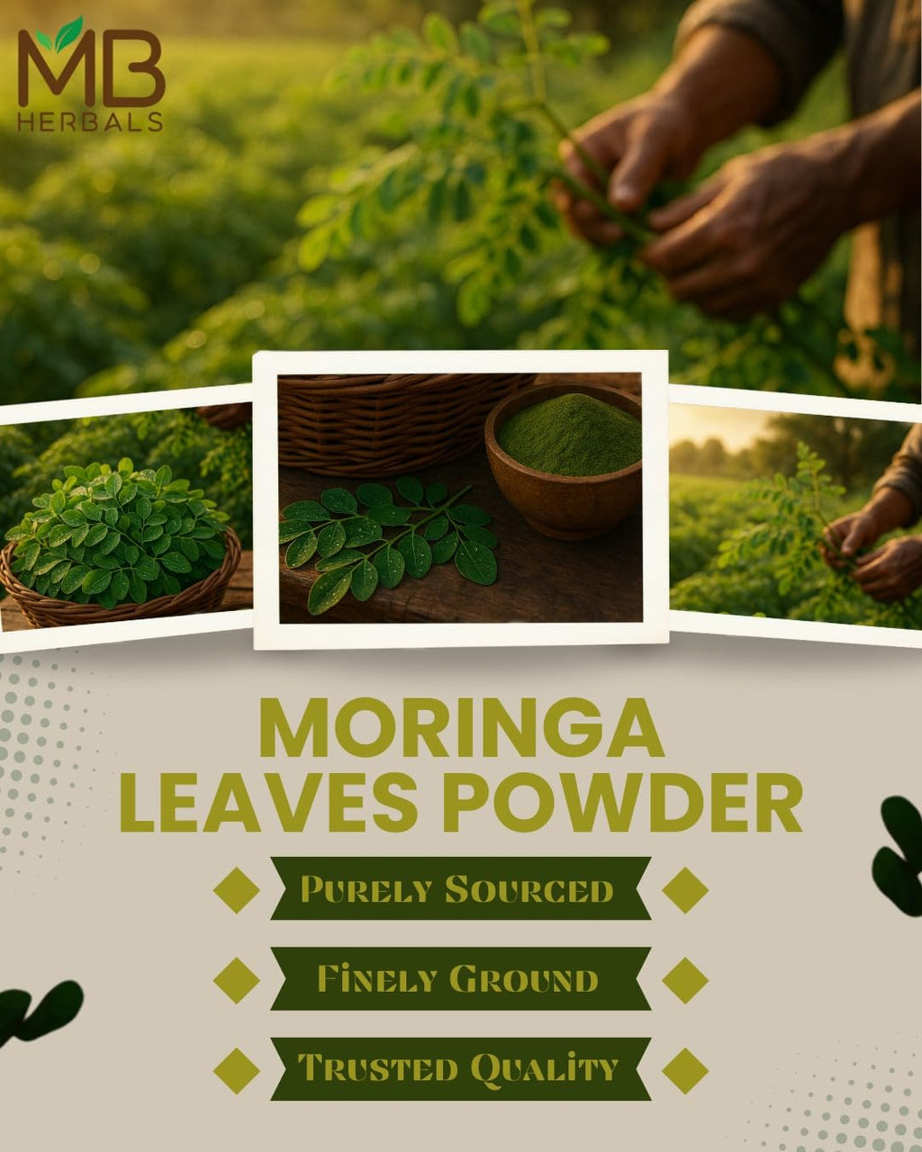 Moringa Leaf Powder for healthy cooking