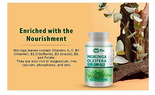 Moringa leaf powder for natural energy