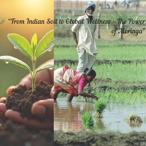 Moringa leaf powder for nutritional boost