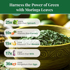Moringa leaves for energy boost