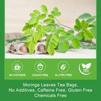 moringa leaves for natural energy