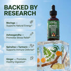 Moringa liquid extract for energy