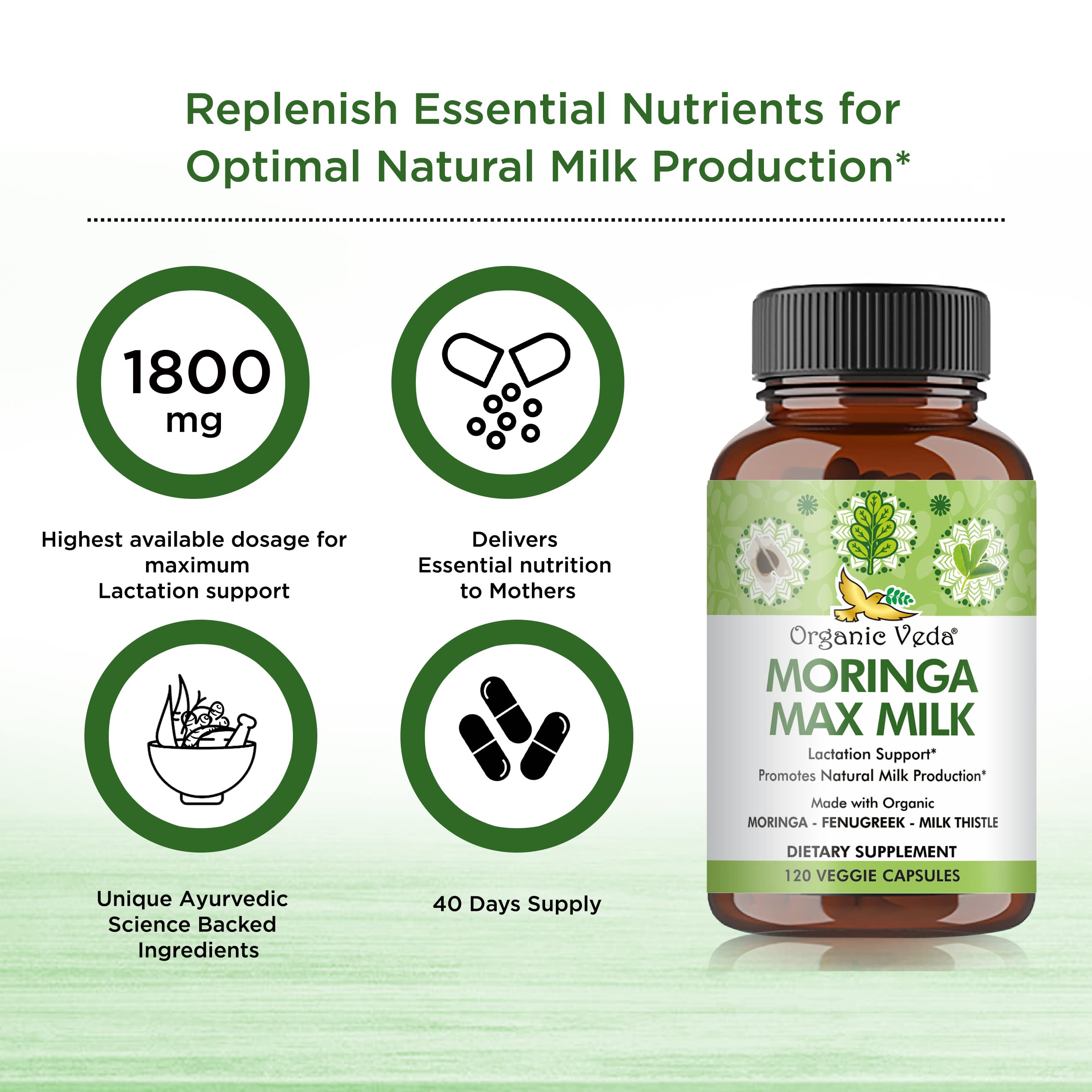 Moringa Max capsules for better milk flow