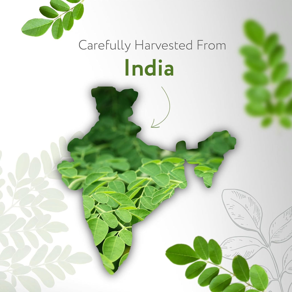 moringa oil for hair nourishment