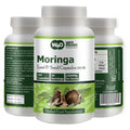 Moringa Oleifera capsules for energy