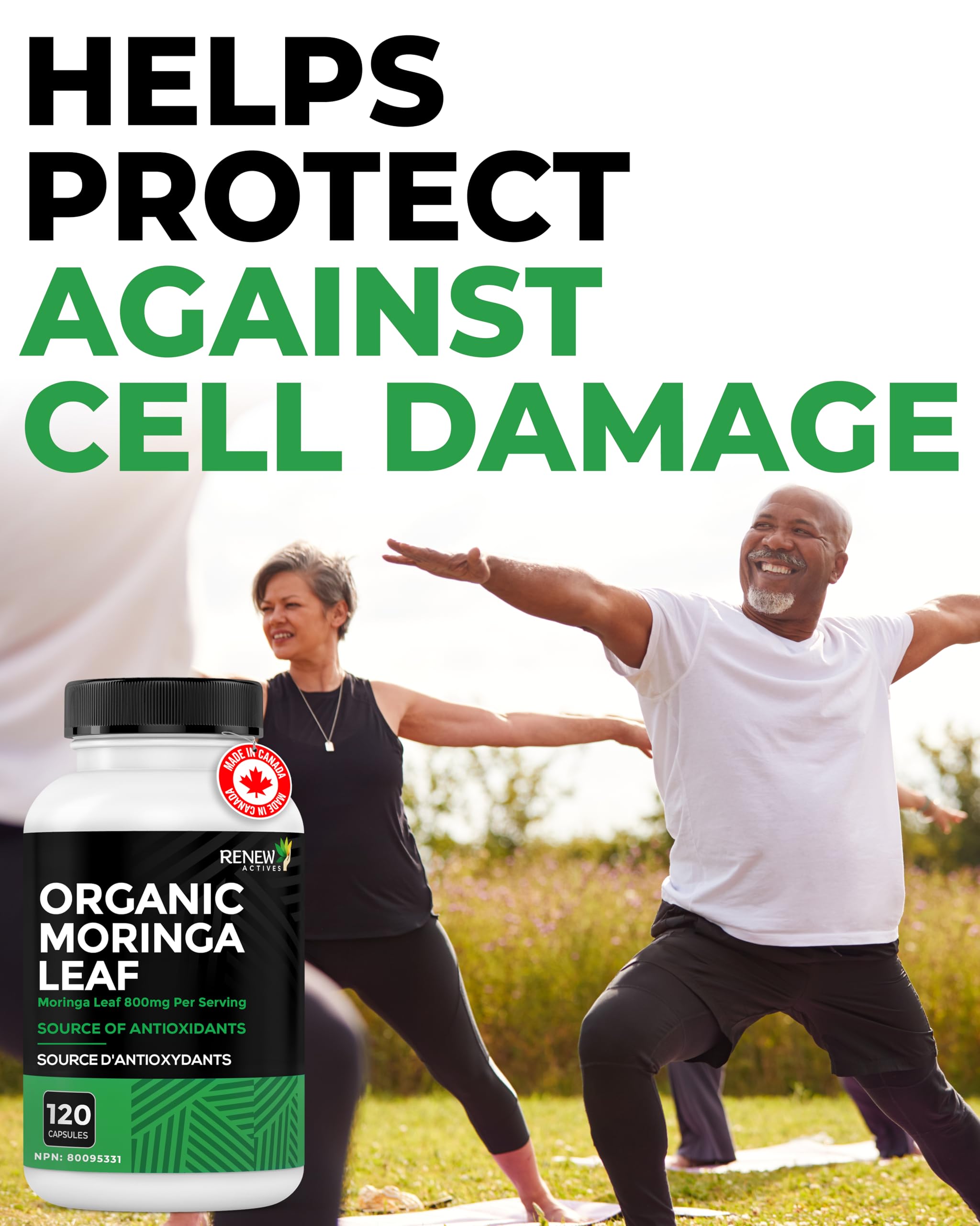 Moringa oleifera capsules for natural vitality