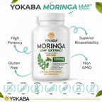 Moringa Oleifera capsules for vitality