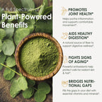 Moringa Oleifera for daily wellness