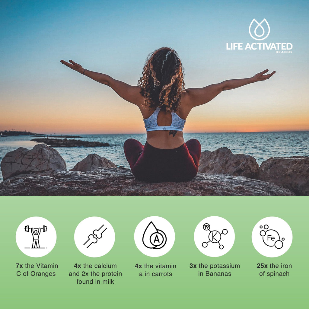 Moringa oleifera for healthy living