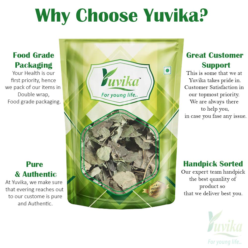 Moringa oleifera for immune boost