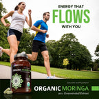 Moringa Oleifera for immune health