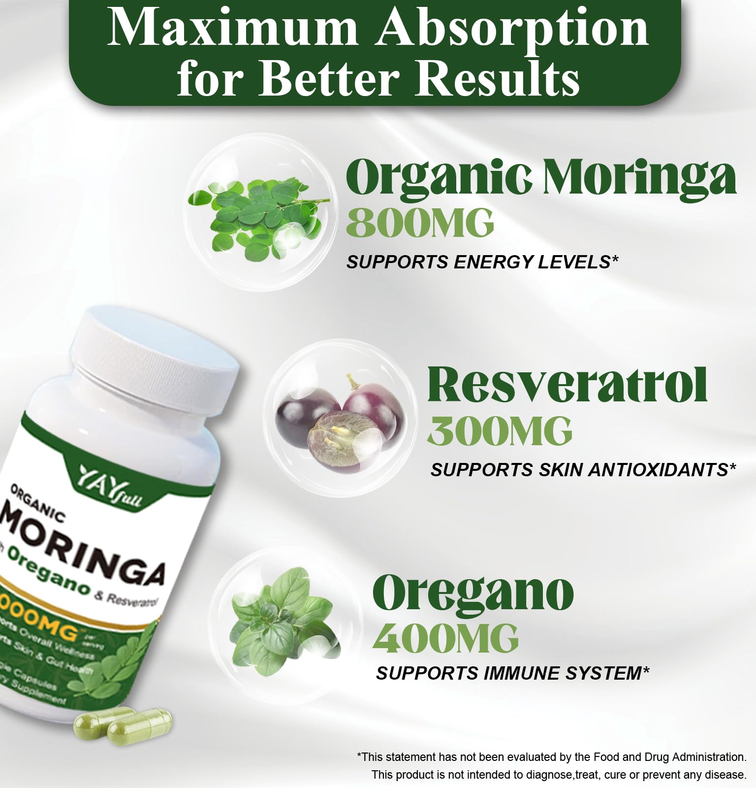 moringa oleifera for immune support