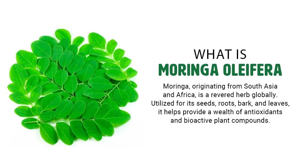 Moringa Oleifera for immune support