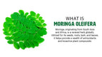 Moringa Oleifera for immune support