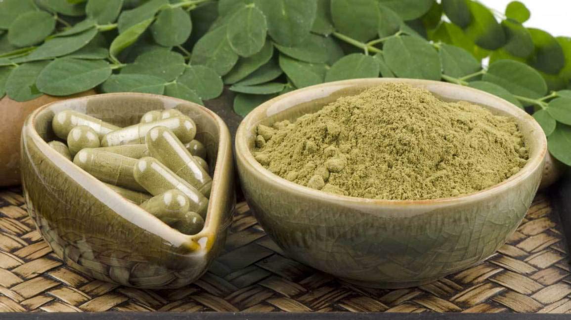 moringa oleifera for immune support
