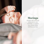 moringa oleifera for natural energy