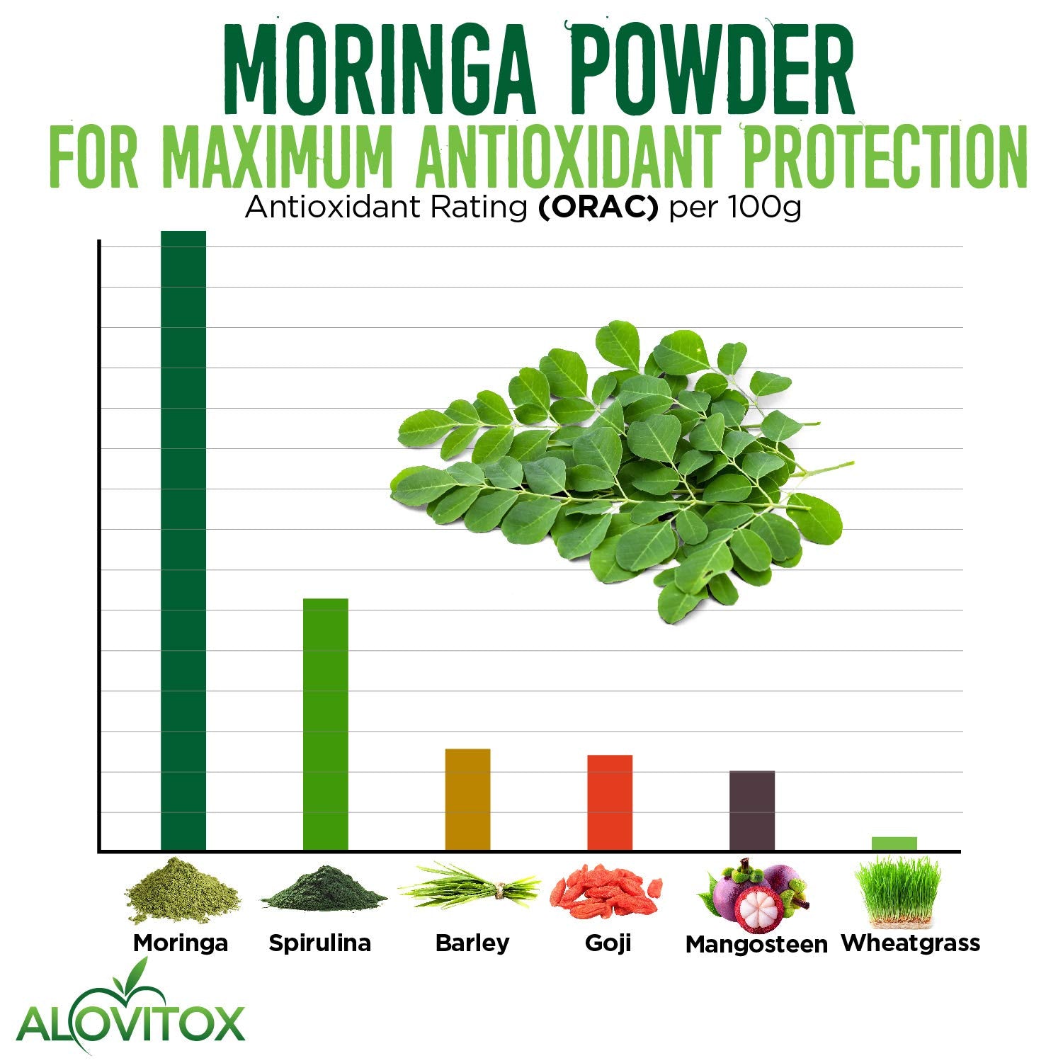moringa oleifera for natural energy