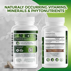 moringa oleifera for overall wellness