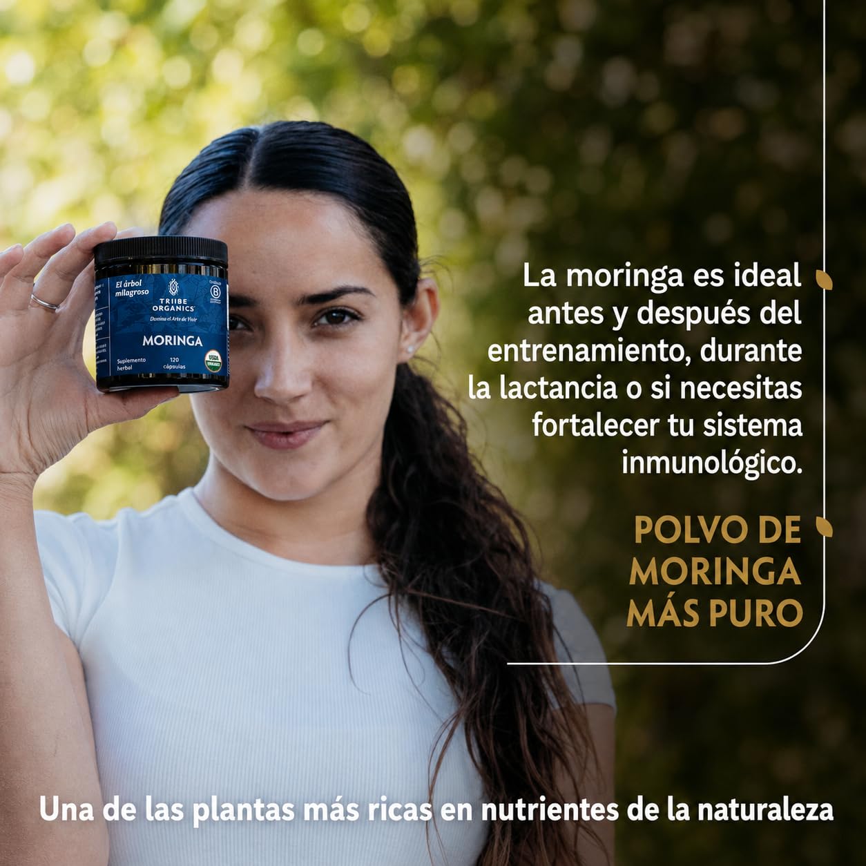 moringa oleifera for overall wellness