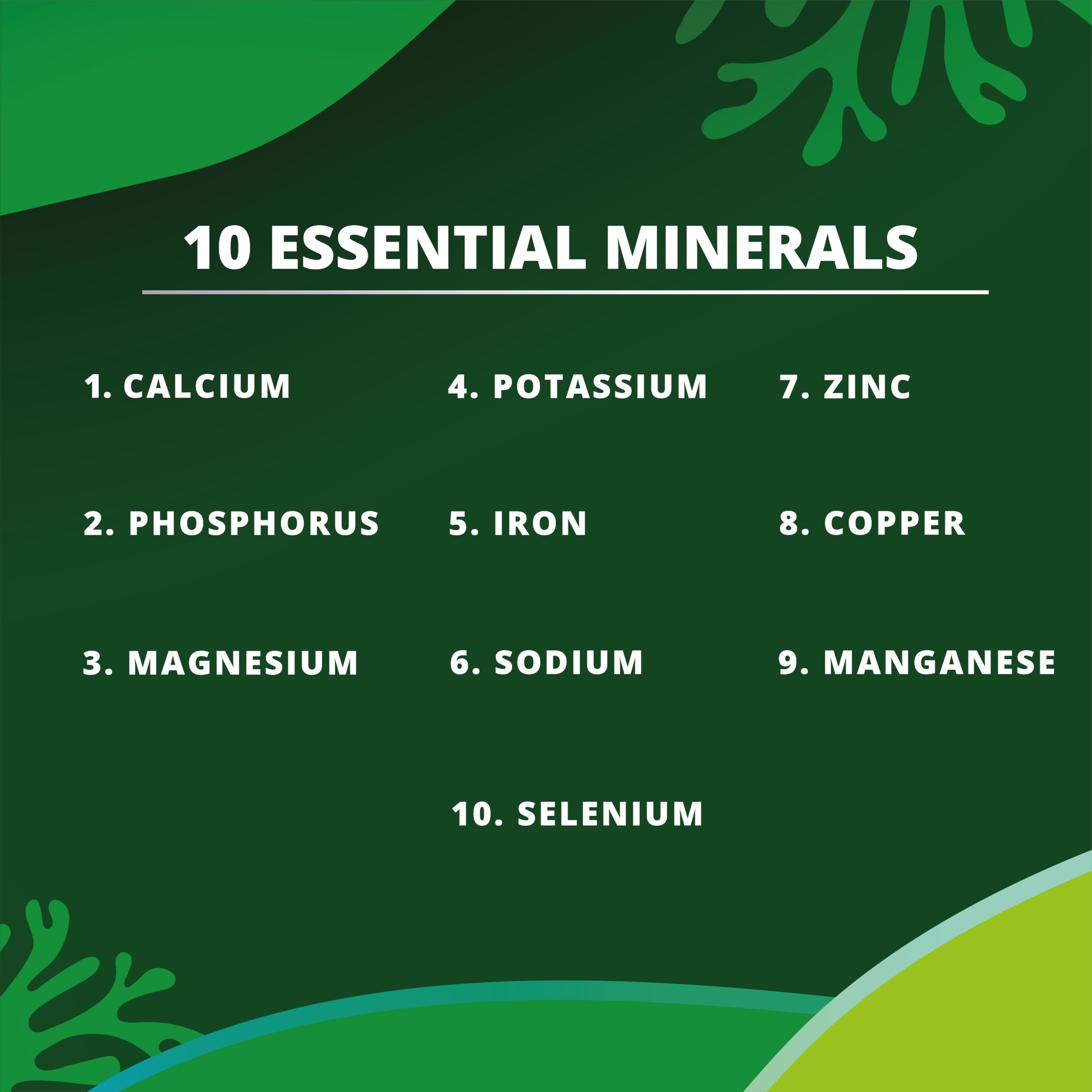 Moringa Oleifera for skin health